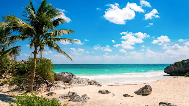 Que faire à Palenque, les incontournables à découvrir | Tourlane