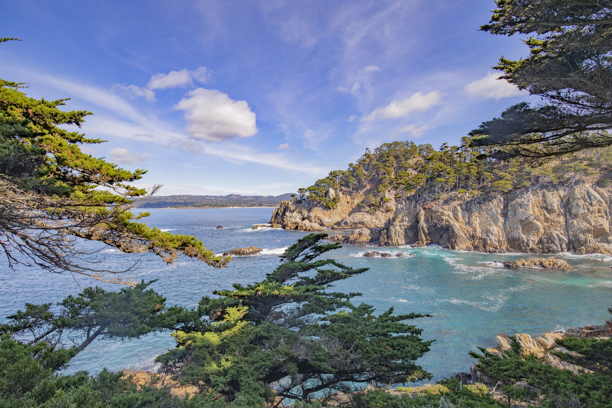 Que faire à Monterey, les incontournables à découvrir | Tourlane