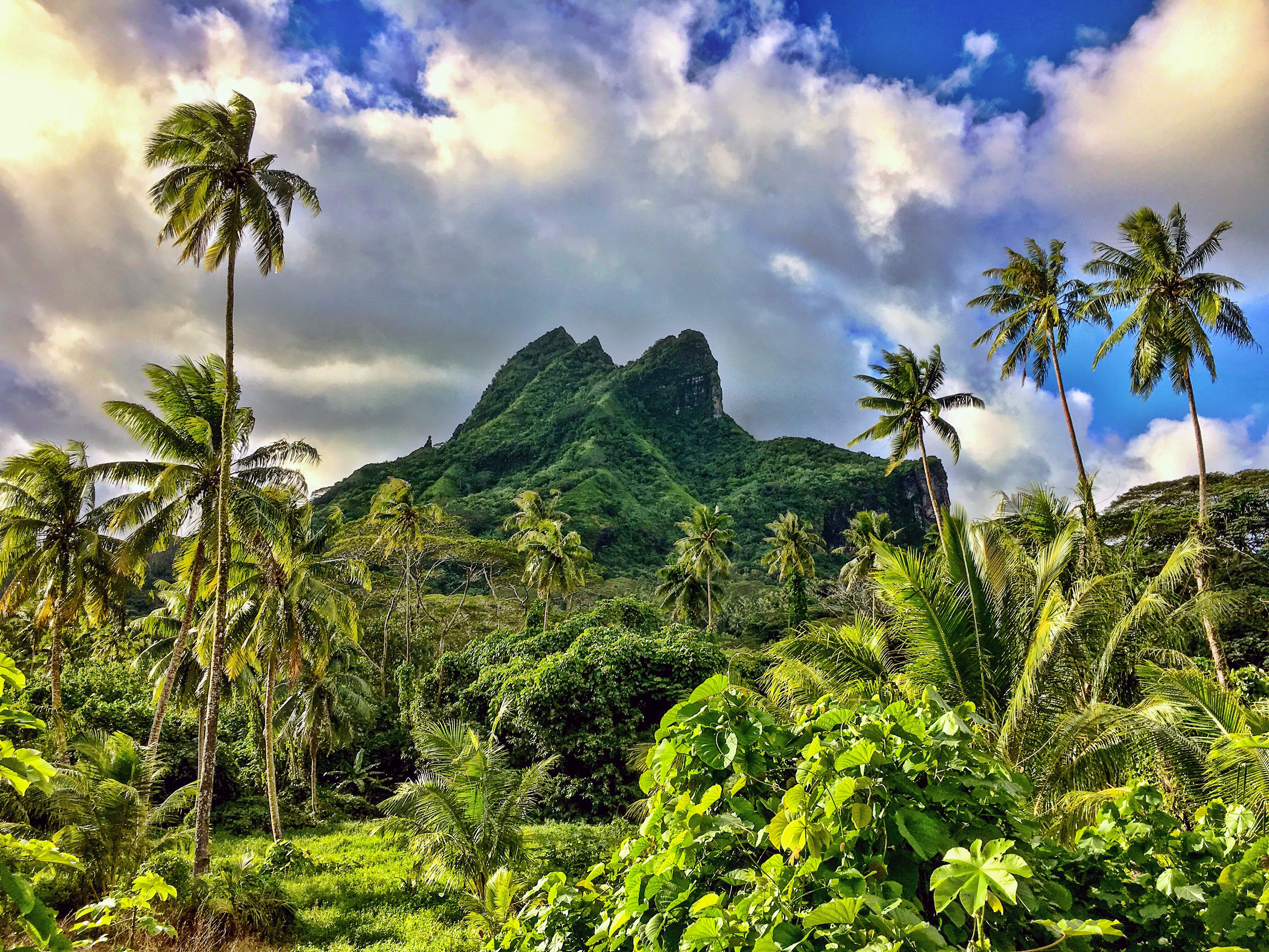 Visiter Raiatea : de nombreuses surprises dans un décor paradisiaque ...