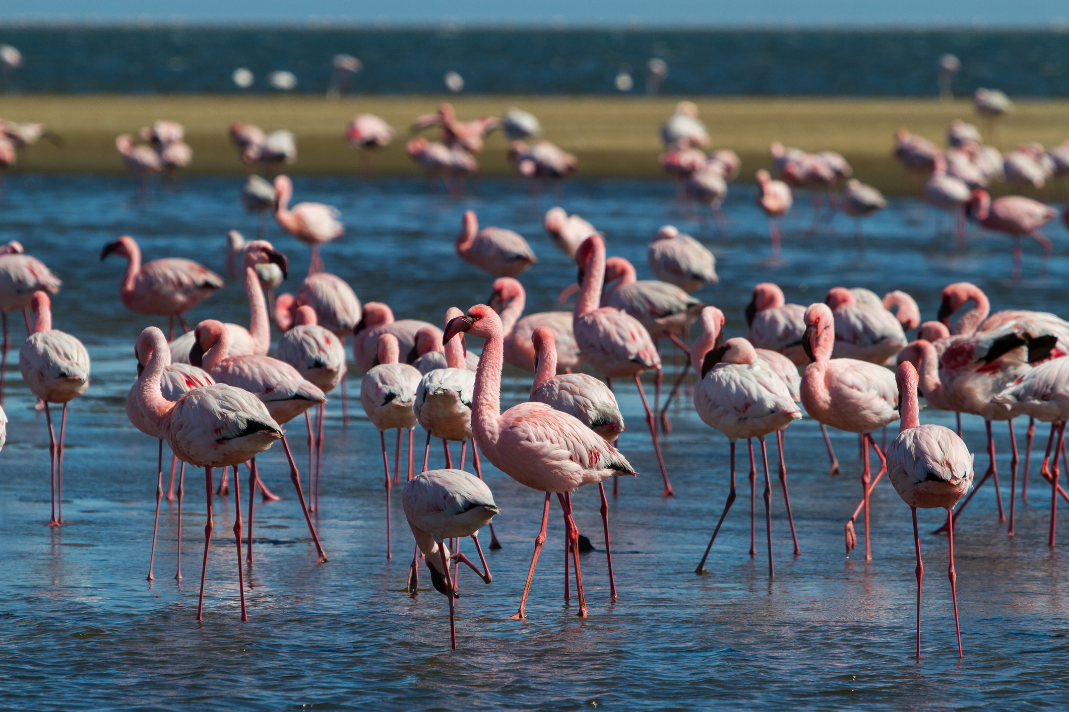 Voyage de noces en Namibie : circuits sur mesure | Tourlane