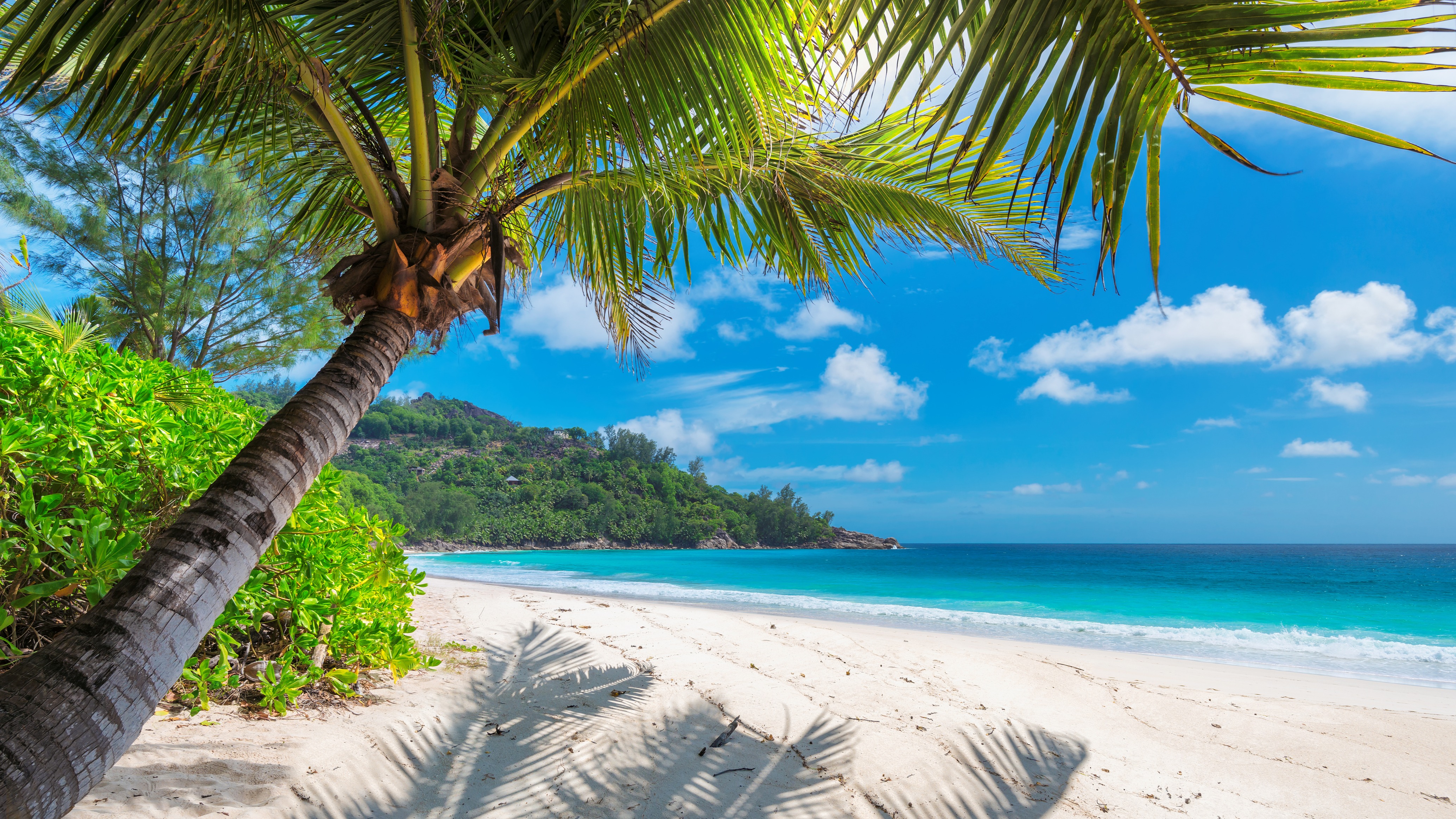 Bahamas Reisen: Individuelle Reiseplanung & Reisetipps