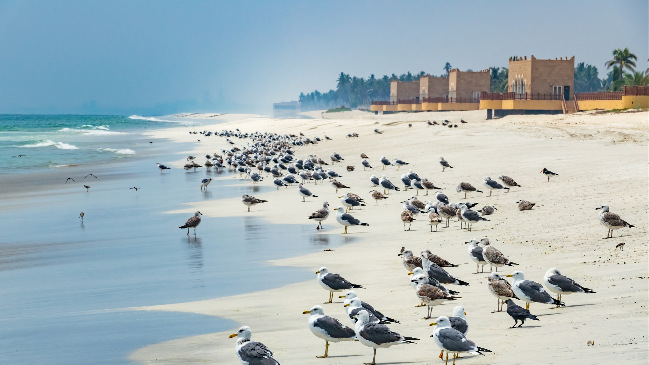 Beste Reisezeit für den Oman: Klima, Wetter & Tipps | Tourlane