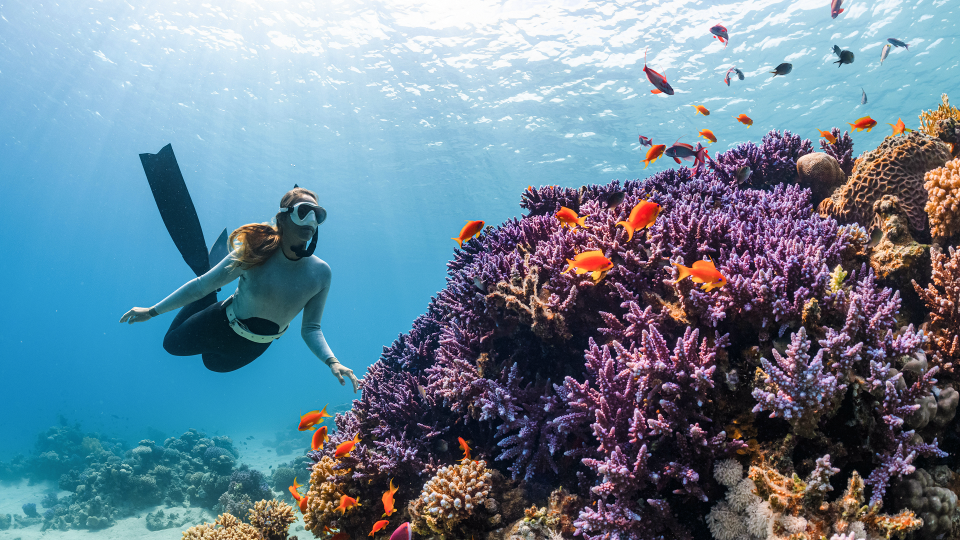 Vacances actives : de la plongée au safari | Tourlane