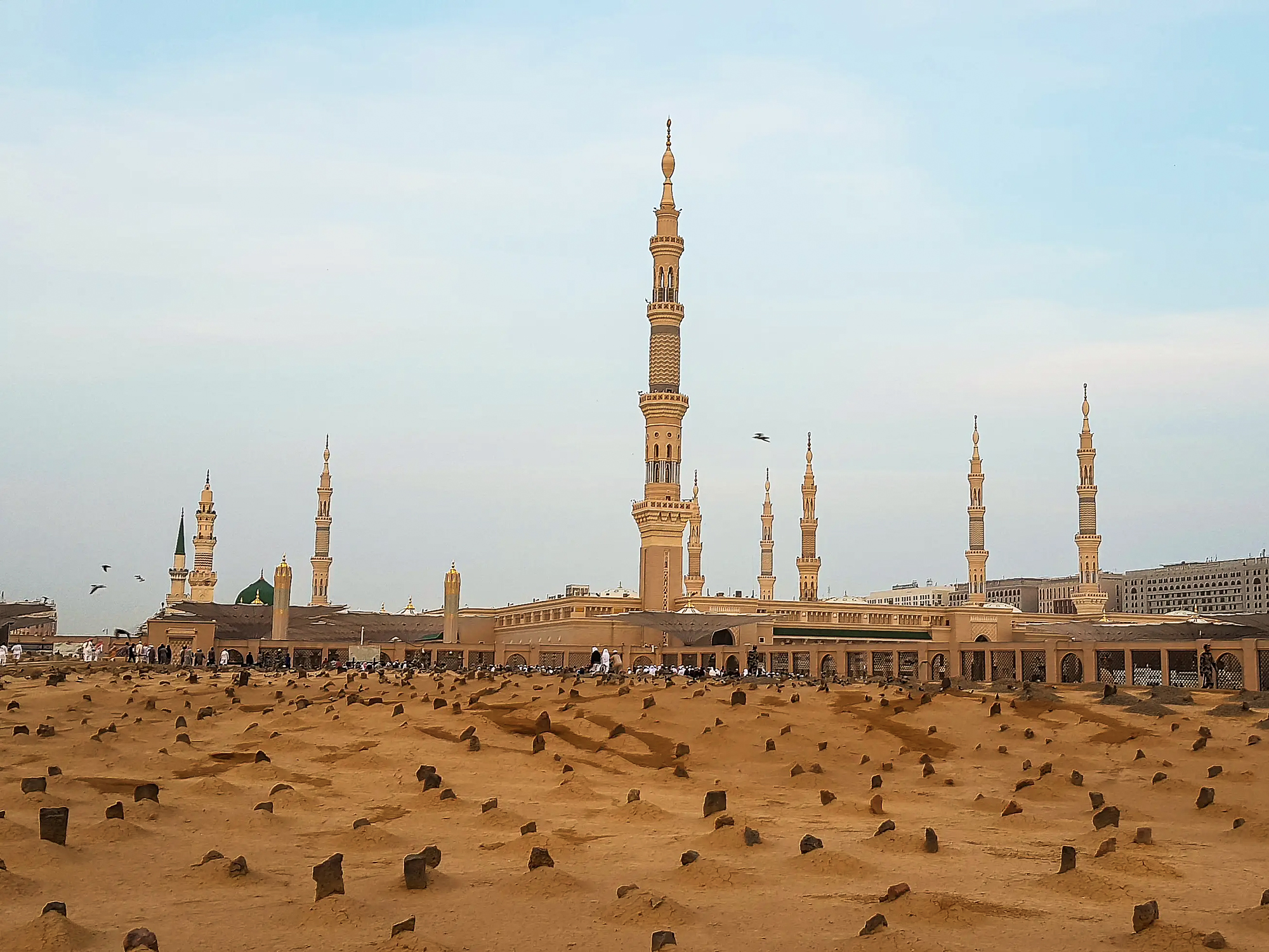 Saudi-Arabien & Bahrain Rundreise 10 Tage | Tourlane