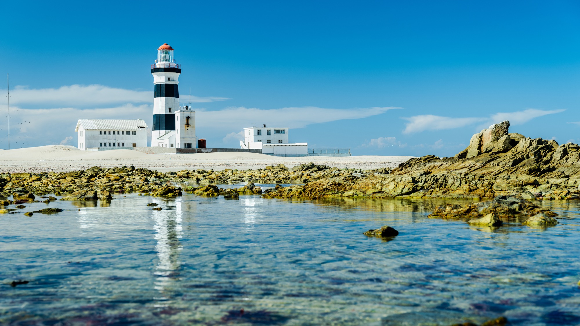 Que voir à Port Elizabeth, les incontournables à découvrir | Tourlane