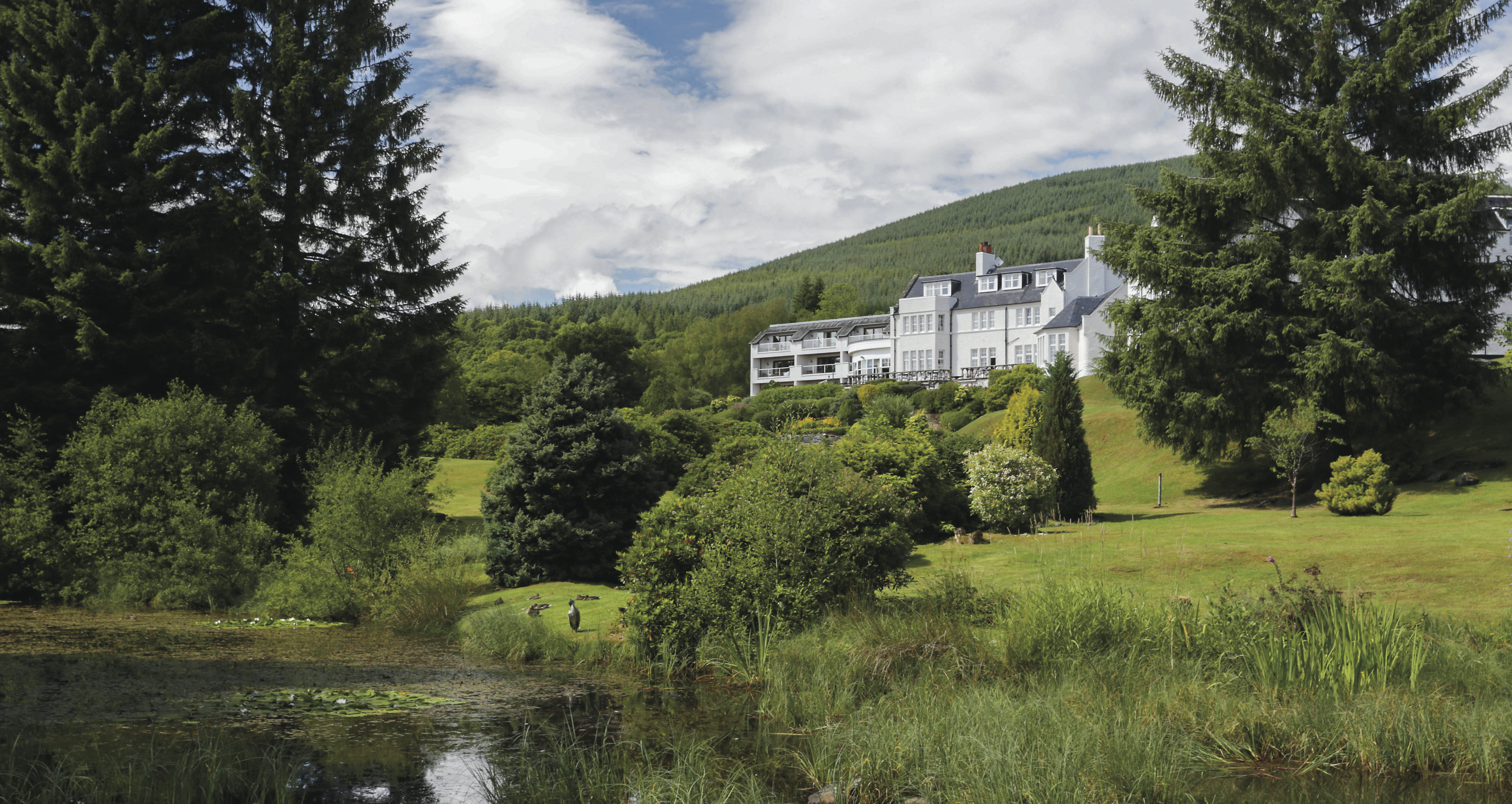 Macdonald Forest Hills Hotel & Resort - Book Spa Breaks, Days & Weekend ...