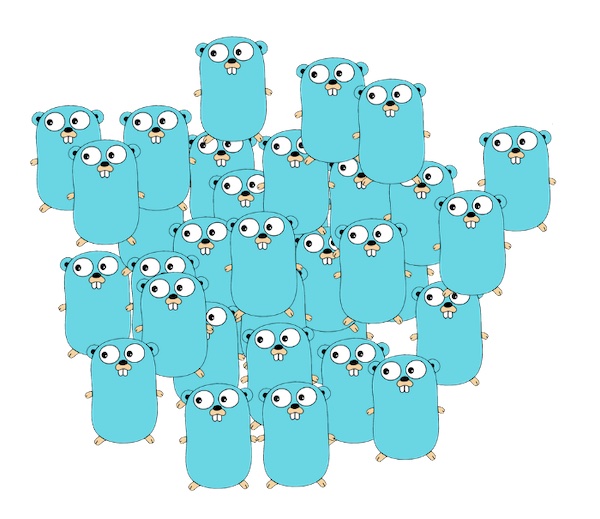 A Chapter in the Life of Go’s Compiler