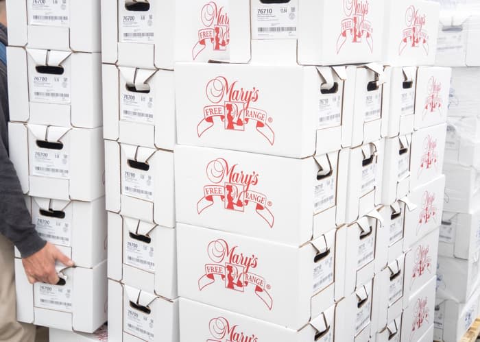 The Life and Death of an American Turkey