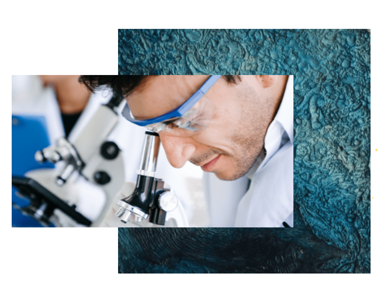 ATAI Life Sciences N.V. (Tii:ATAI) | TiiCKER