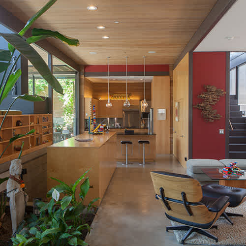 Small Lot Ordinance For-Sale Housing Designed by Plant Design Studio ...