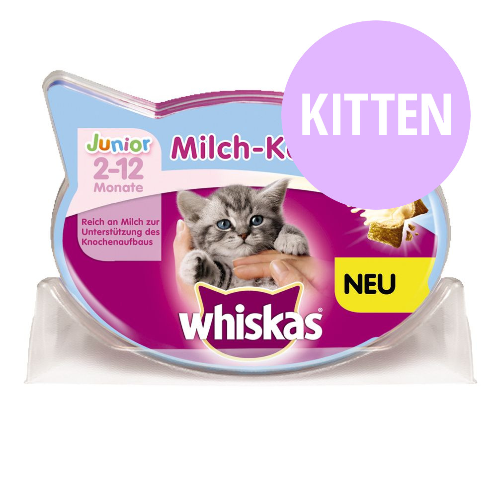 Kitten Food at bitiba - great deals on all your kitten essentials!