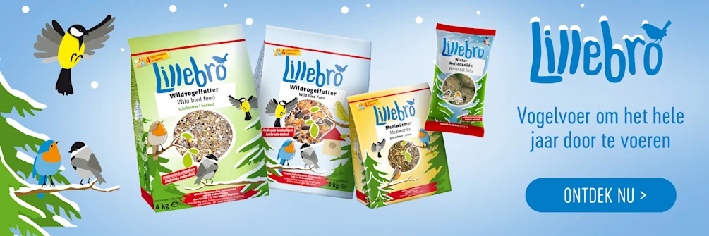 bitiba.nl | Goedkope online dierenwinkel in dierenbenodigheden