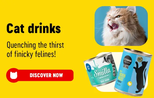 Big Discounts on Dog Food, Cat Food, Pet Accessories and more at bitiba!