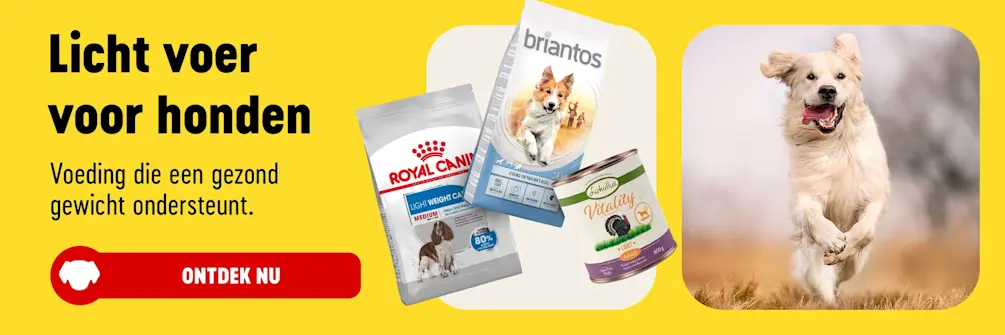 bitiba.nl | Goedkope online dierenwinkel in dierenbenodigheden