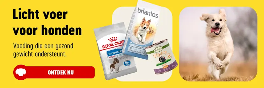 bitiba.nl | Goedkope online dierenwinkel in dierenbenodigheden