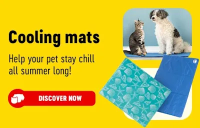 Big Discounts on Dog Food, Cat Food, Pet Accessories and more at bitiba!