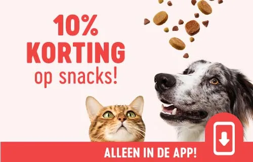 bitiba.nl | Goedkope online dierenwinkel in dierenbenodigheden