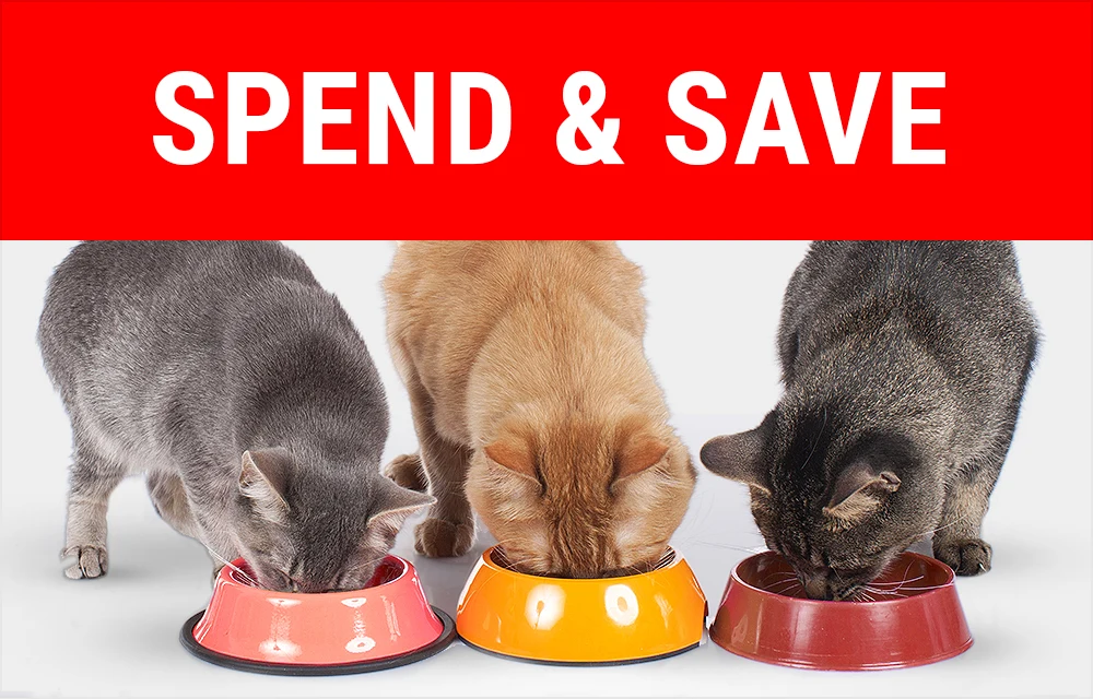 Discover the bitiba world of benefits and advantages