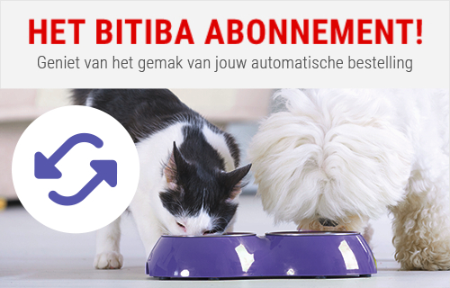 Je loyaliteit wordt beloond bij bitiba