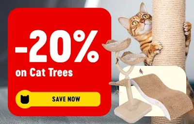 Big Discounts on Dog Food, Cat Food, Pet Accessories and more at bitiba!