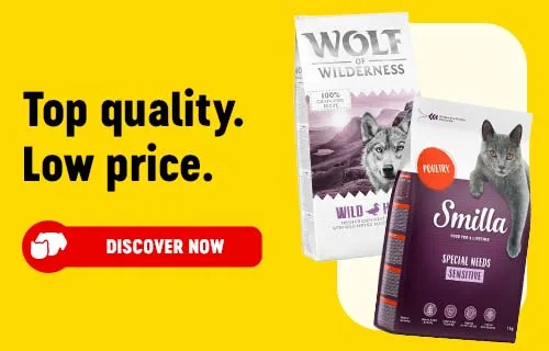 Big Discounts on Dog Food, Cat Food, Pet Accessories and more at bitiba!