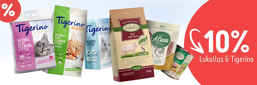 bitiba.nl | Goedkope online dierenwinkel in dierenbenodigheden