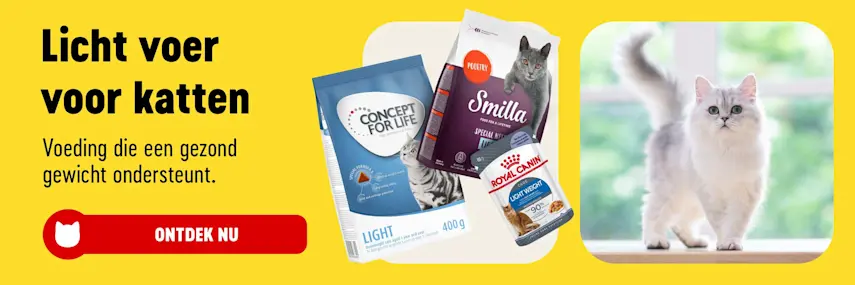 bitiba.nl | Goedkope online dierenwinkel in dierenbenodigheden