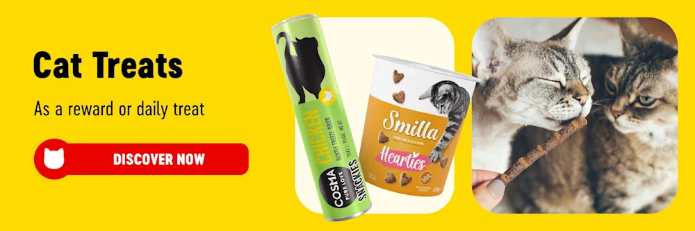 Big Discounts on Dog Food, Cat Food, Pet Accessories and more at bitiba!