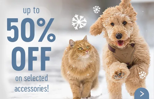 Big Discounts on Dog Food, Cat Food, Pet Accessories and more at bitiba!