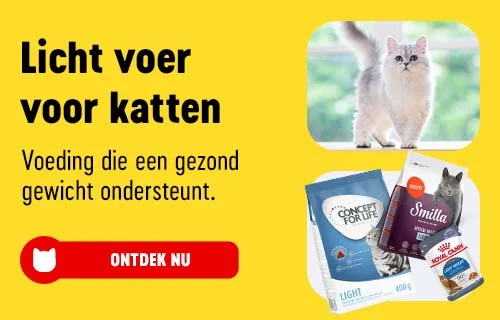 bitiba.nl | Goedkope online dierenwinkel in dierenbenodigheden