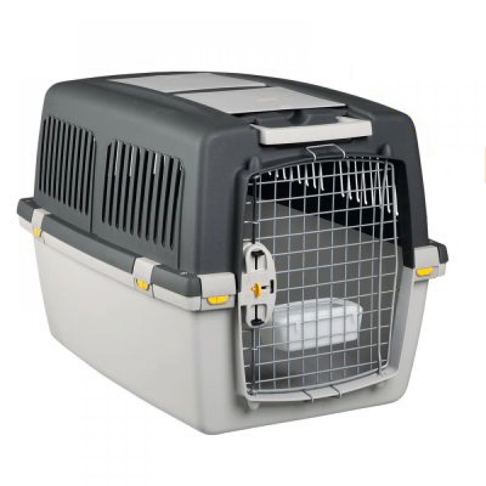 Katten transport: draagtassen, benches en manden | bitiba