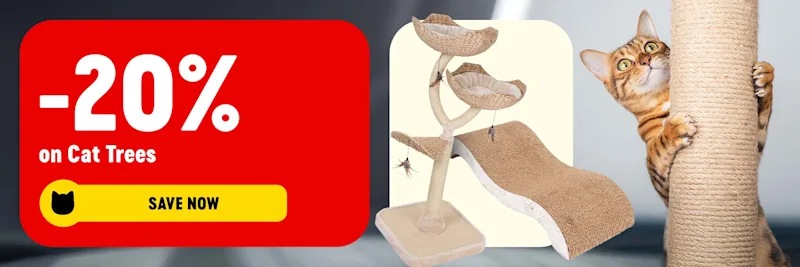 Big Discounts on Dog Food, Cat Food, Pet Accessories and more at bitiba!