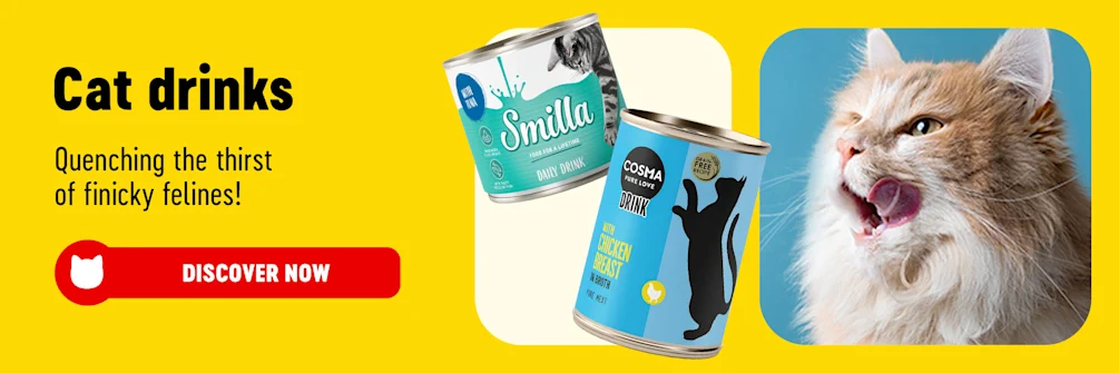 Big Discounts on Dog Food, Cat Food, Pet Accessories and more at bitiba!