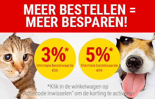 Je loyaliteit wordt beloond bij bitiba