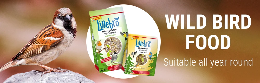 Big Discounts on Dog Food, Cat Food, Pet Accessories and more at bitiba!