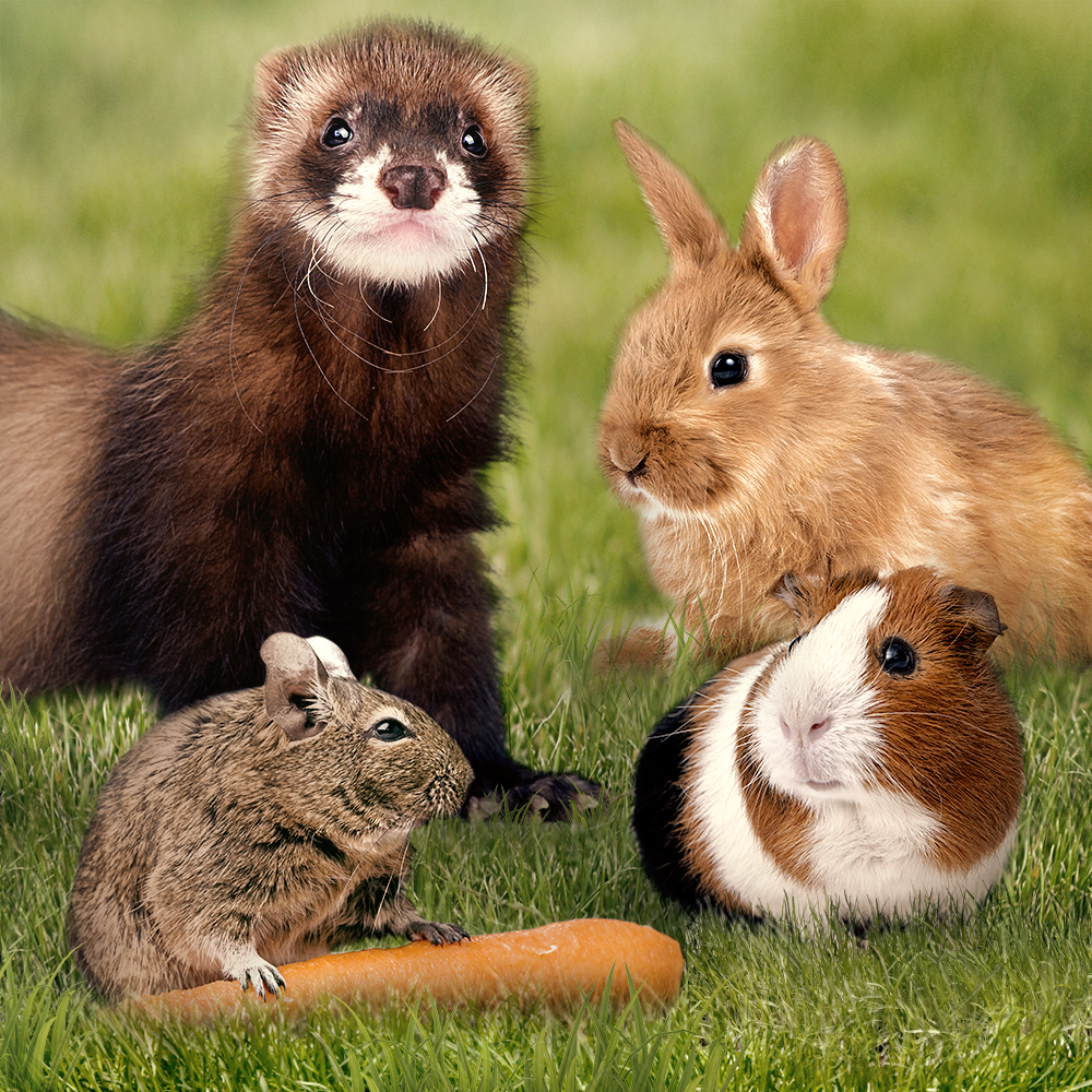 Save More When You Spend More | bitiba.co.uk