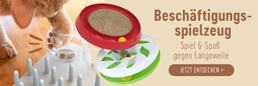 bitiba.ch | Tierbedarf & Tierfutter zu TOP-Preisen