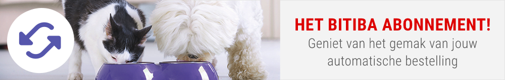 Je loyaliteit wordt beloond bij bitiba