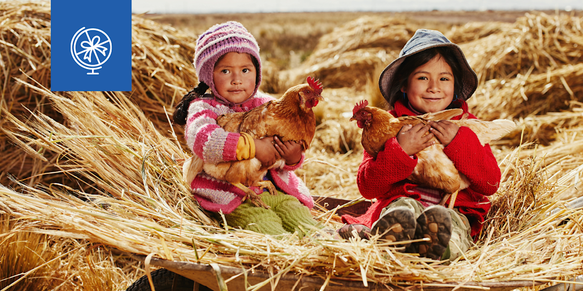 Chicken - Gifts of Compassion | Compassion Australia