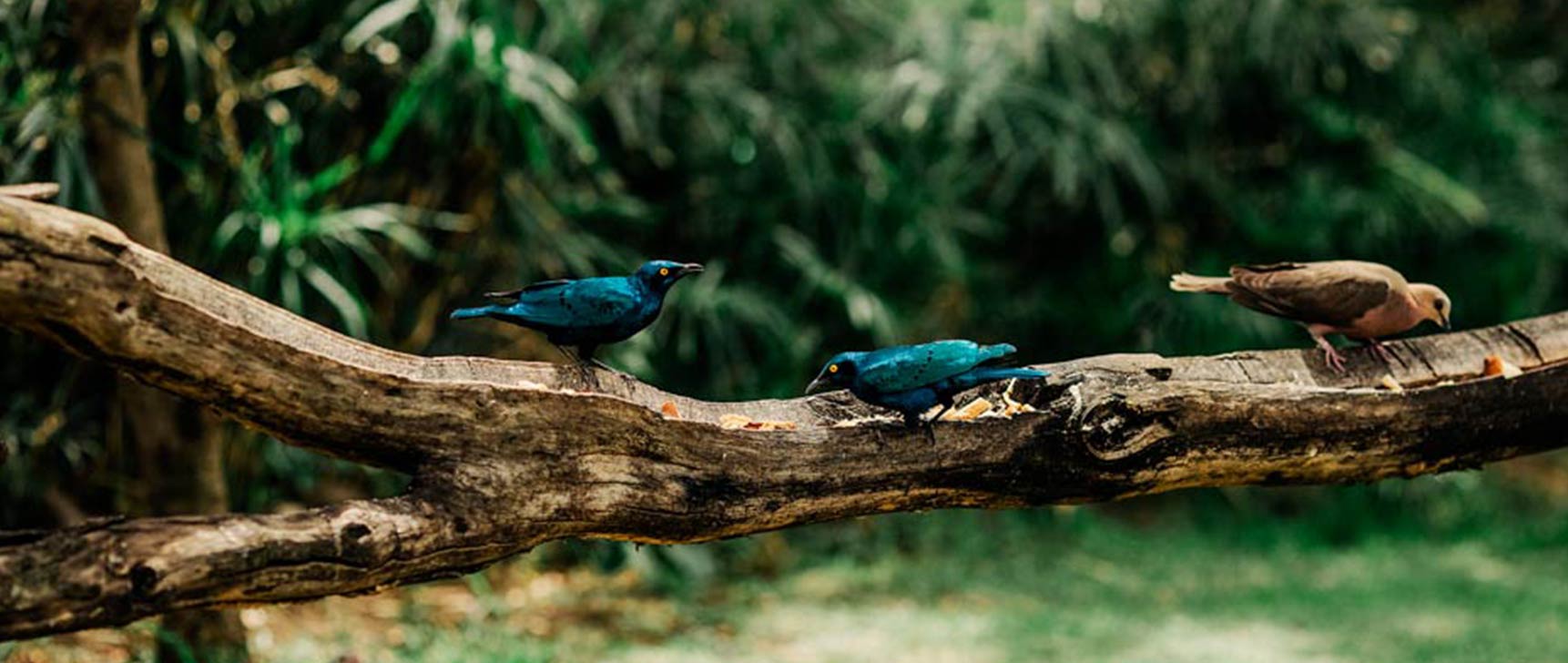 11 Uplifting Bible Verses that Will Refresh Your Spirit