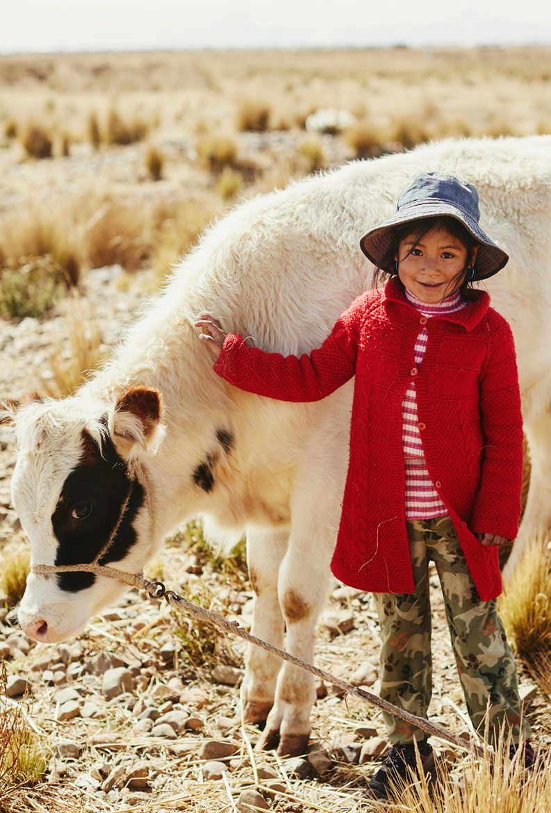 Cow - Gifts of Compassion | Compassion Australia
