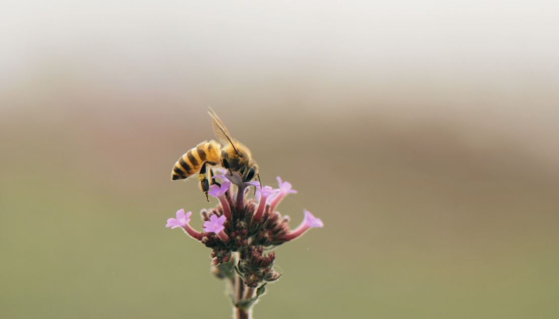 Klamydia – Symtom, Behandling & Smittskydd | Citymottagningen i ...