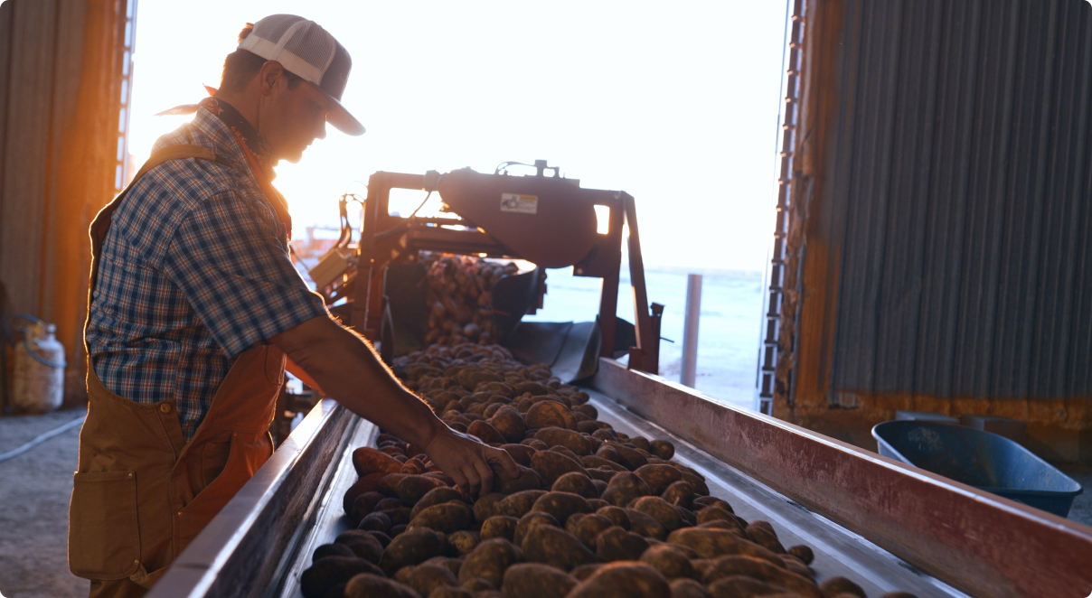 SPUDS Documentary - A feature length documentary film about the potato ...