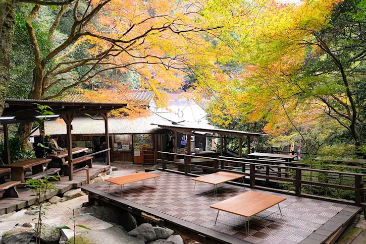 Autumn | Visit Kyushu