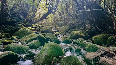 Visit Kyushu | Visit Kyushu