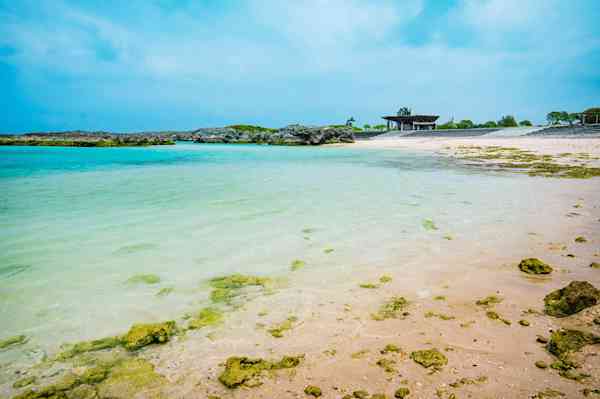 Kikai Island | Kyushu Tourism Organization | Visit Kyushu