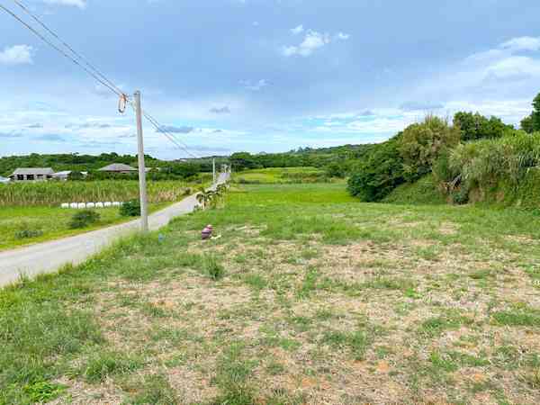 Yoron | Kyushu Tourism Organization | Visit Kyushu