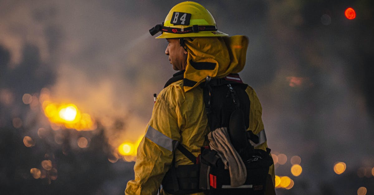 Navigating the Wildfires: Assessing The Aftermath
