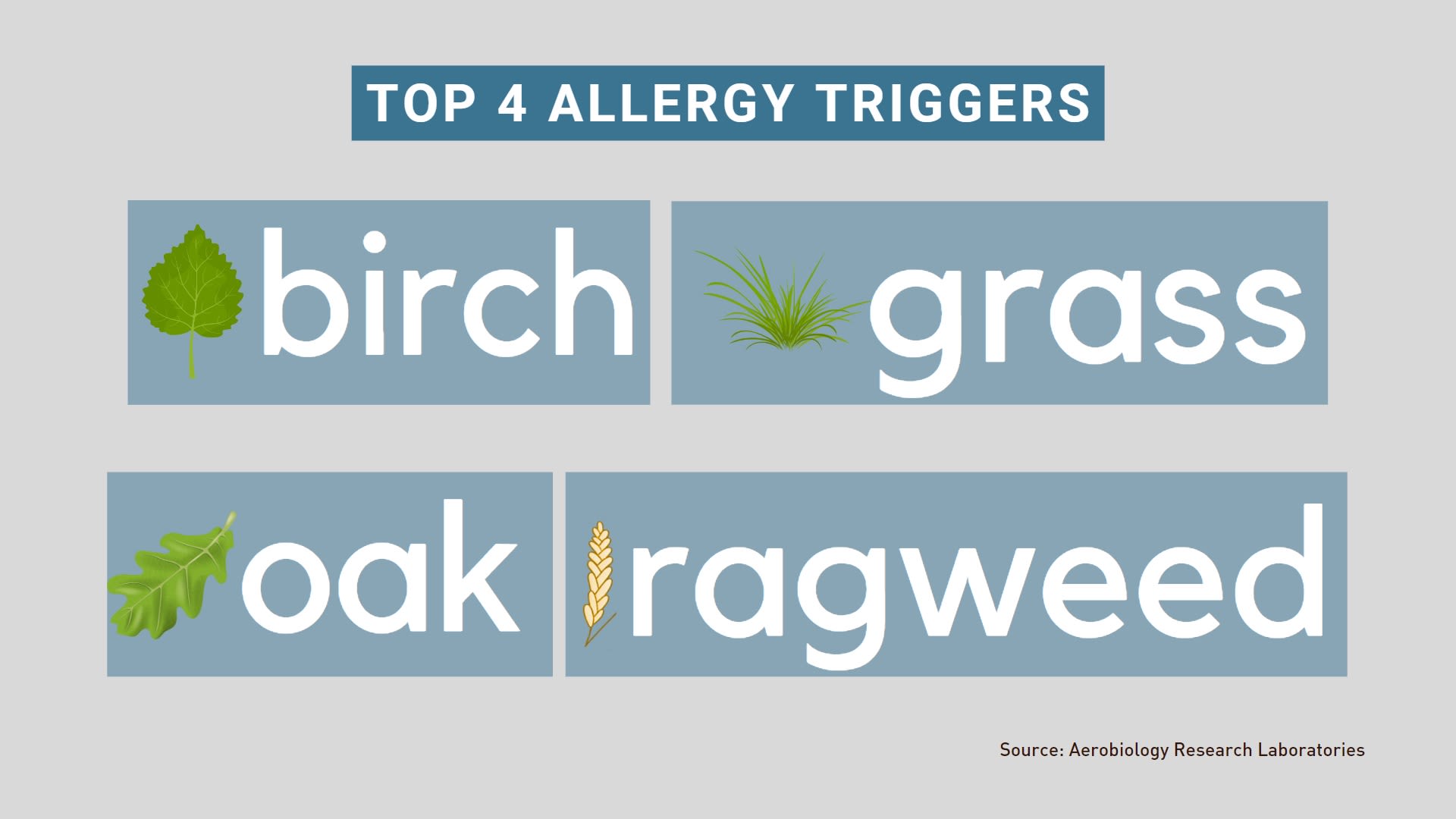 Sluggish start to allergy season in Canada, but it will catch up - The ...