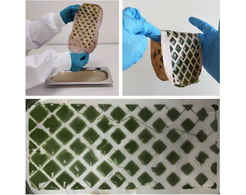 Clothes made from algae give a glimpse into the future of fashion - The ...